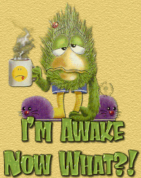 Awake GIFs - Get the best gif on GIFER