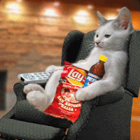 Saturday GIFs - Get the best gif on GIFER