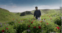 Human nature GIFs - Get the best gif on GIFER