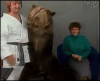 Roasting GIFs - Get the best gif on GIFER