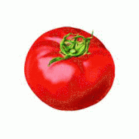 Tomates GIFs - Get the best gif on GIFER
