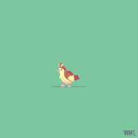 Pidgey GIFs - Get the best gif on GIFER