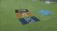 Fielding GIFs - Get the best gif on GIFER