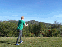 Gridiron GIFs - Get the best gif on GIFER