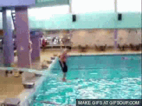Diving GIFs - Get the best gif on GIFER