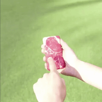 Beef GIFs - Get the best gif on GIFER