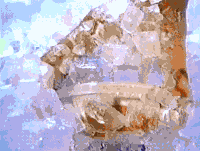 Fizz GIFs - Get the best gif on GIFER