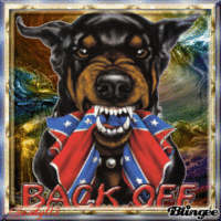 Confederate GIFs - Get the best gif on GIFER