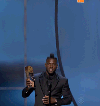 Sieger GIFs - Get the best gif on GIFER