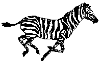 Zebras GIFs - Get the best gif on GIFER