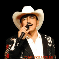 Gerbil GIFs - Get the best gif on GIFER