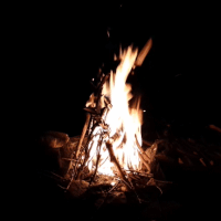 Campfire GIFs - Get the best gif on GIFER