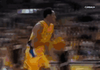 Nba finals edition GIFs - Get the best gif on GIFER