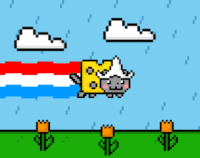 Dutch GIFs - Get the best gif on GIFER