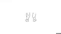 Calf GIFs - Get the best gif on GIFER