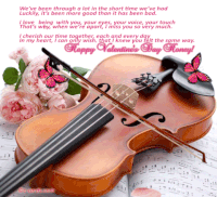 Violon GIFs - Get the best gif on GIFER