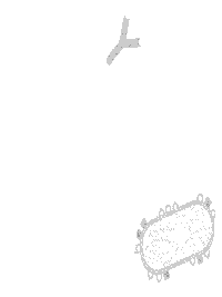 Bacteria GIFs - Get the best gif on GIFER