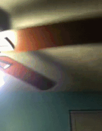 Ceiling fans GIFs - Get the best gif on GIFER