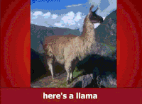 Rappel GIFs - Get the best gif on GIFER