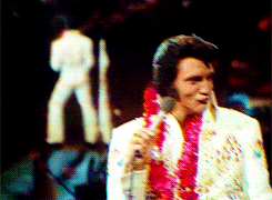 Elvislives GIFs - Get the best gif on GIFER