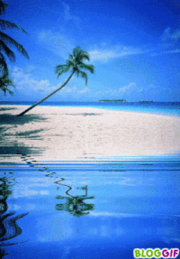 Hawaii GIFs - Get the best gif on GIFER