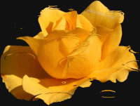 Yellow GIFs - Get the best gif on GIFER