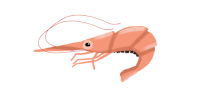 Shrimp GIFs - Get the best gif on GIFER