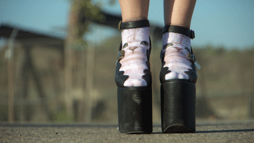 Wedges гифки, анимированные GIF изображения wedges - скачать гиф ...