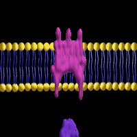 Celula GIF - Conseguir o melhor gif em GIFER