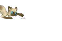 Raton GIFs - Get the best gif on GIFER