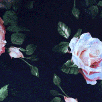 Polishing GIFs - Get the best gif on GIFER