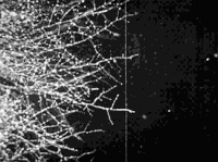 Introduction GIFs - Get the best gif on GIFER