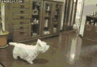 Collisions GIFs - Get the best gif on GIFER