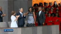 Bush GIFs - Get the best gif on GIFER