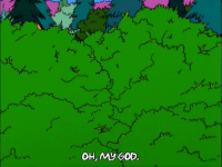 Awe GIFs - Get the best gif on GIFER