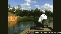 Cameraman GIFs - Get the best gif on GIFER
