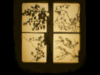 Botanical GIFs - Get the best gif on GIFER