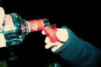 Alcohol GIFs - Get the best gif on GIFER