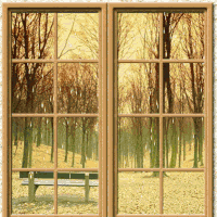 Window GIFs - Get the best gif on GIFER