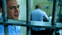 Prison GIFs - Get the best gif on GIFER