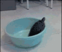 Escape plan GIFs - Get the best gif on GIFER