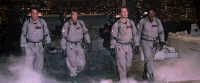 Ghostbusters GIFs - Get the best gif on GIFER