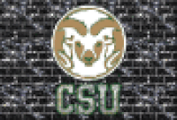 Csu GIFs - Get the best gif on GIFER