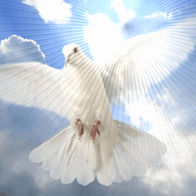 Holy spirit GIF - Conseguir o melhor gif em GIFER