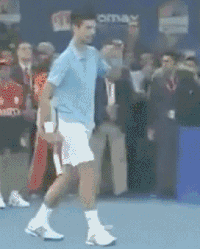 Djokovic GIFs - Get the best gif on GIFER