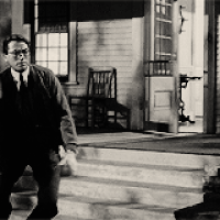 Mockingbird GIFs - Get the best gif on GIFER