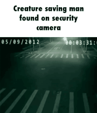 Unexplained GIFs - Get the best gif on GIFER