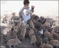 Overwhelmed GIFs - Get the best gif on GIFER