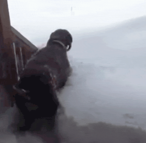 Vanished GIFs - Get the best gif on GIFER