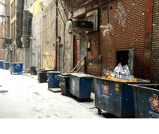 Alleycat GIFs - Get the best gif on GIFER